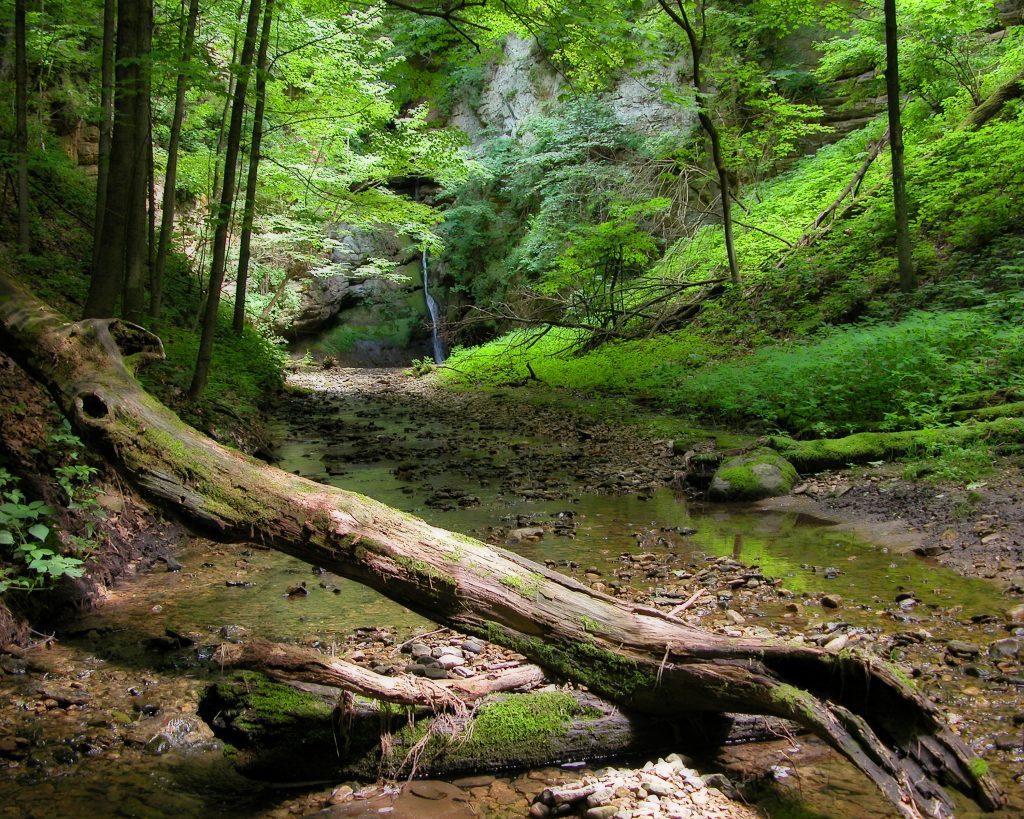 Hiking – Green Lake, WI | Green Lake Area Chamber of Commerce