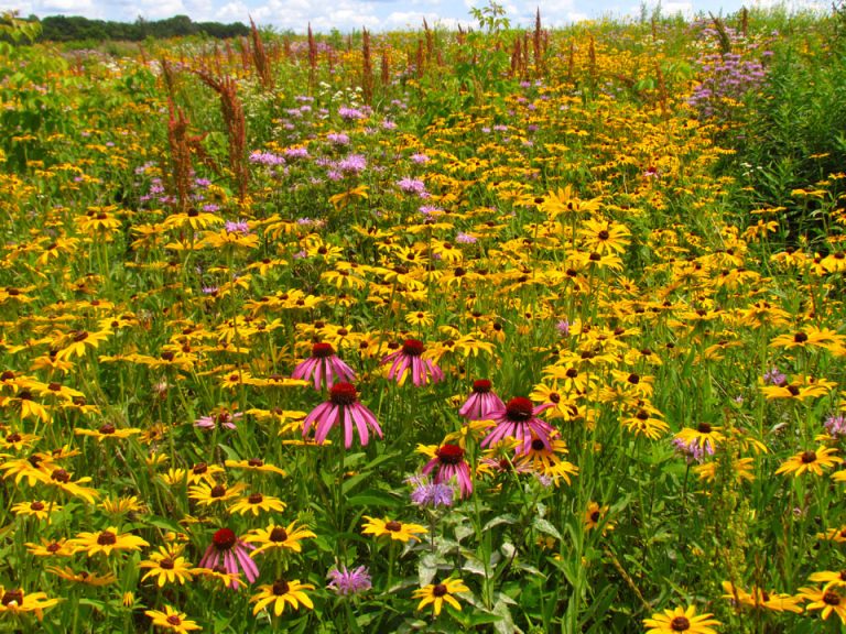 Hiking – Green Lake, WI | Green Lake Area Chamber of Commerce